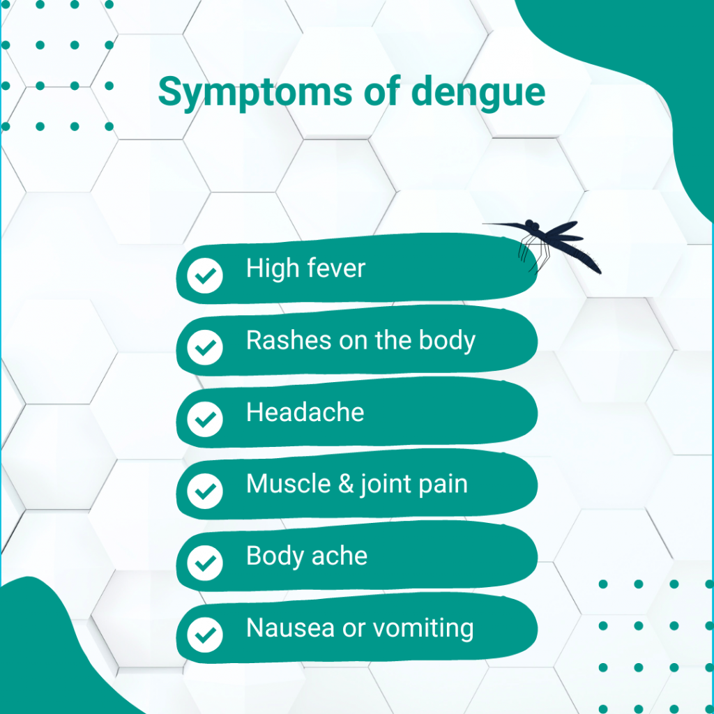 Dengue Fever Symptoms Rash