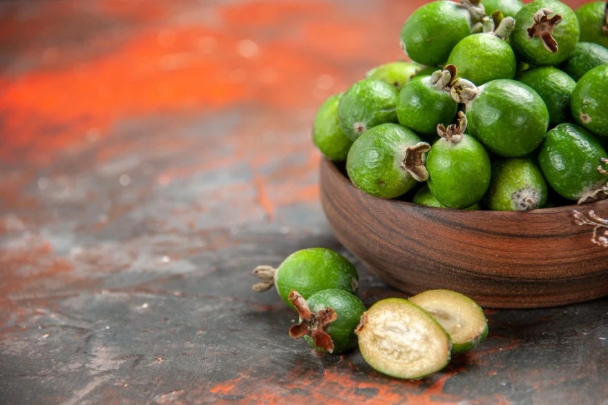 5 Key Health Benefits of Monk Fruit: Natural Sugar Substitute